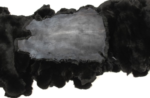 Rex Rabbit Skins - Castor Rex