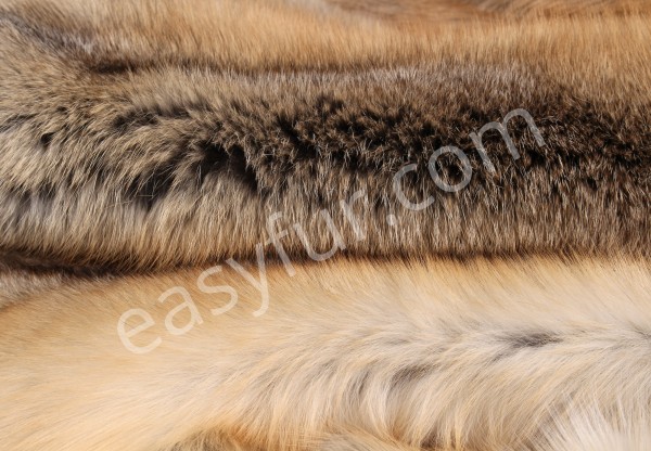 Golden Island Fox Skins