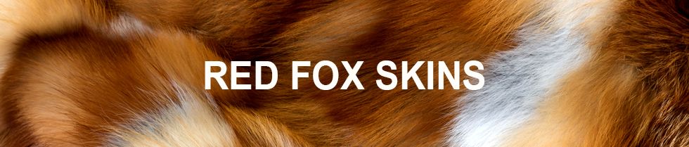 European Red Fox Skins and Canadian Red Fox Skins
