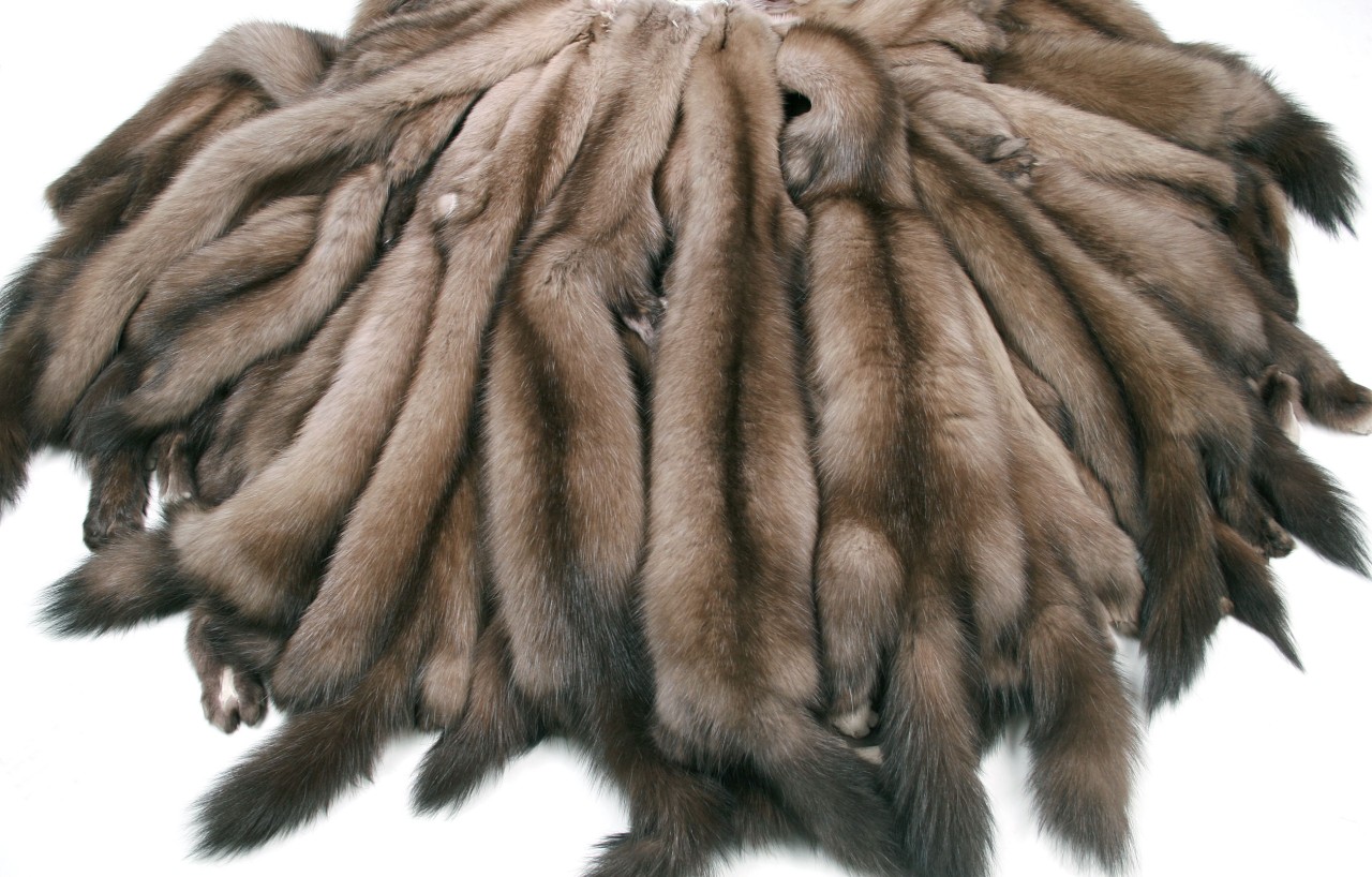 Fox Skins – Redfox, Silverfox, Shadowfox & Blue Fox Pelts