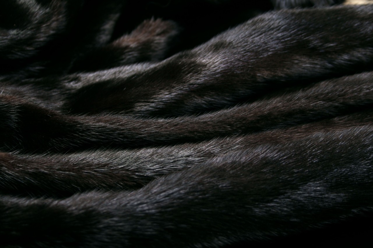 Scandinavian Female Mink Scanblack