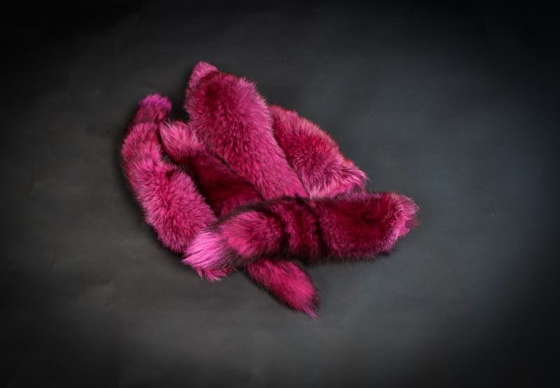 European Red Fox Tails - Purple colored