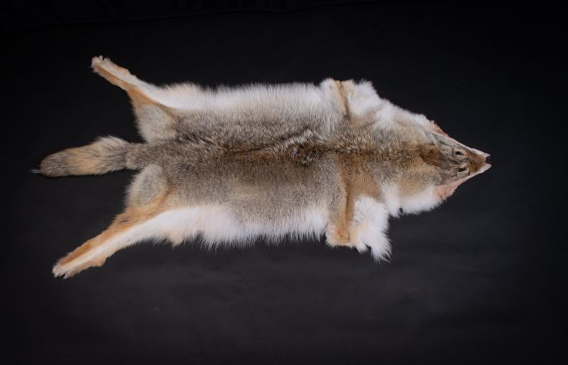 Easyfur.com - Fur Skins, Fur Bodies, Pelts and Accessories