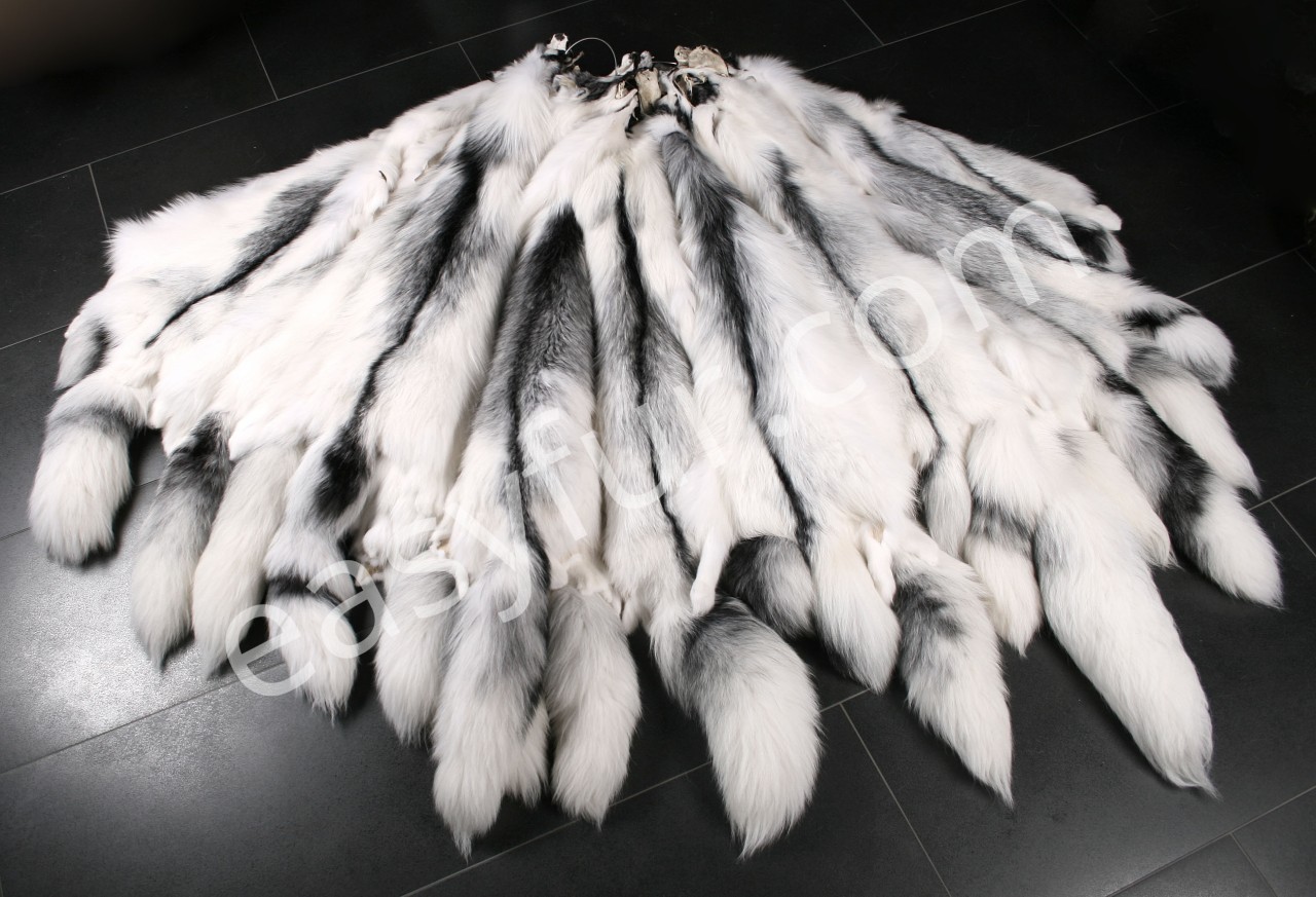 Fox Skins and Fox Pelts – Premium Wholesale Fur Supplier