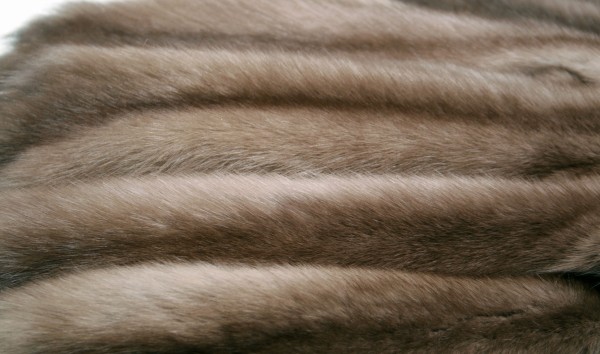 Skins from Russian Sables - grey Tortora