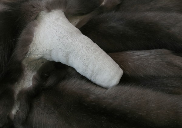 Sable skins from Russia in Tortora X-Dark