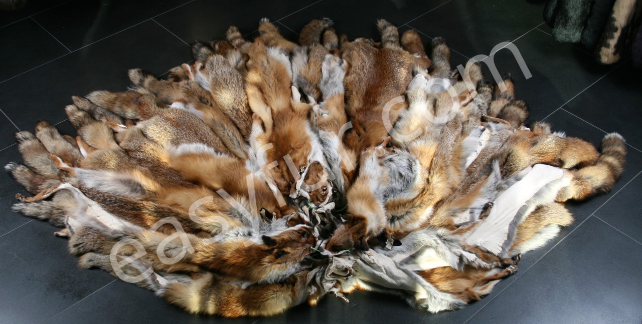 European Red Fox Skins and Canadian Red Fox Skins | Easyfur